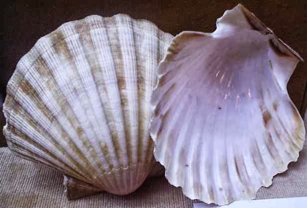 el blog de 4º: Instrumentos tradicionales españoles